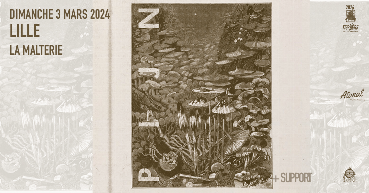 Pijn : La tournée qui annonce l'album ! - VisualMusic